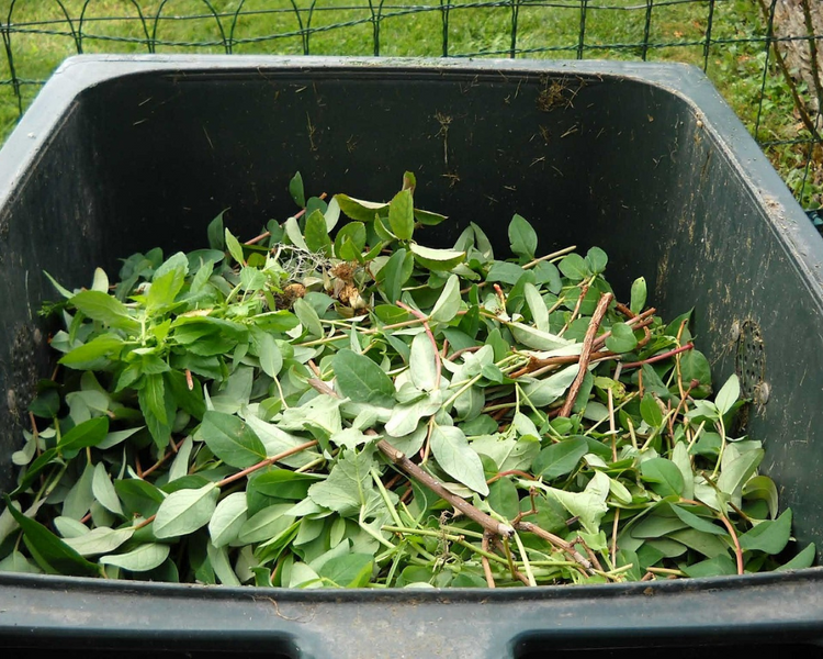 Turning Over a New Leaf: Smart Strategies for Garden Waste Management ...