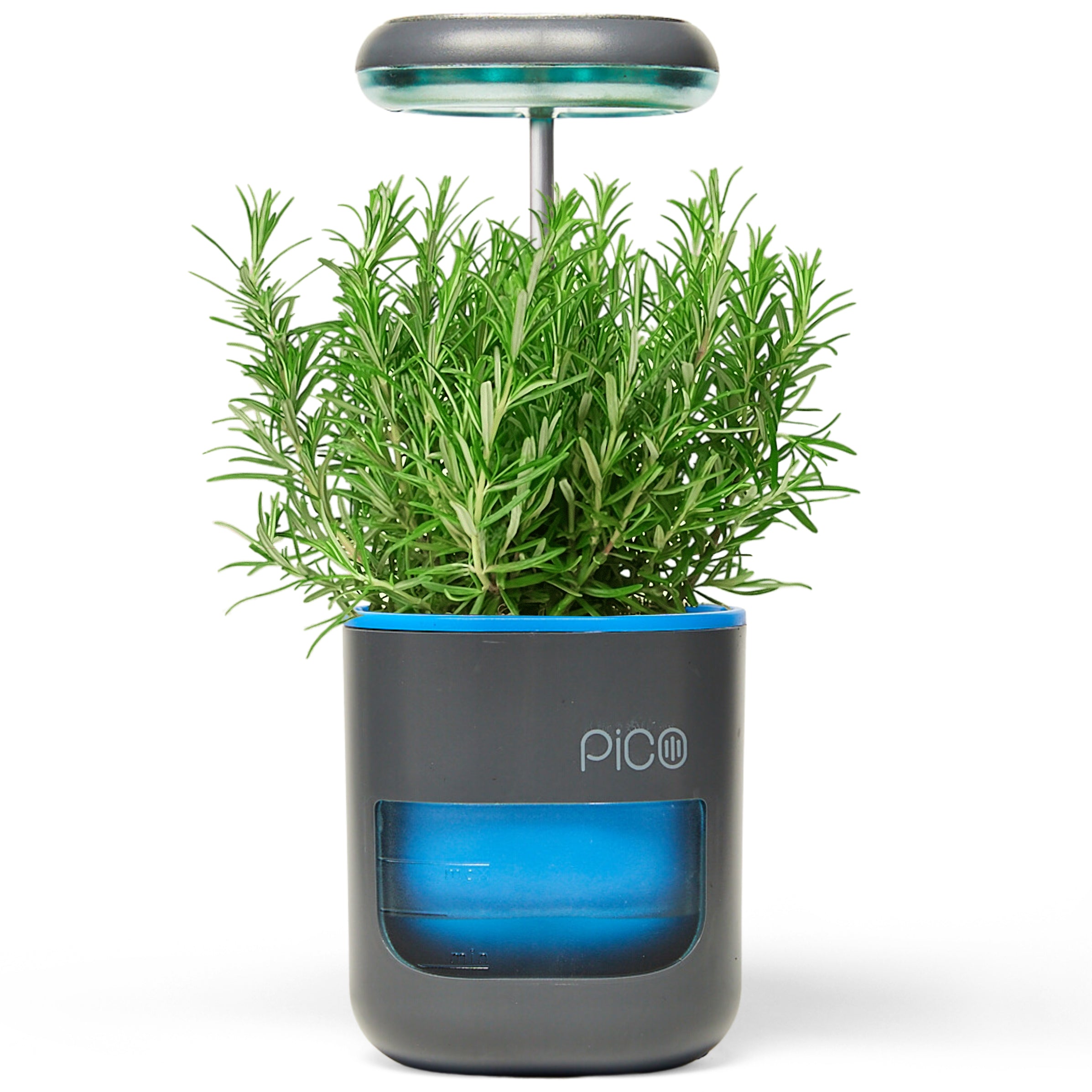 PICO | Indoor Plant Pots, Self-Watering Planters & LED Grow Lights ...