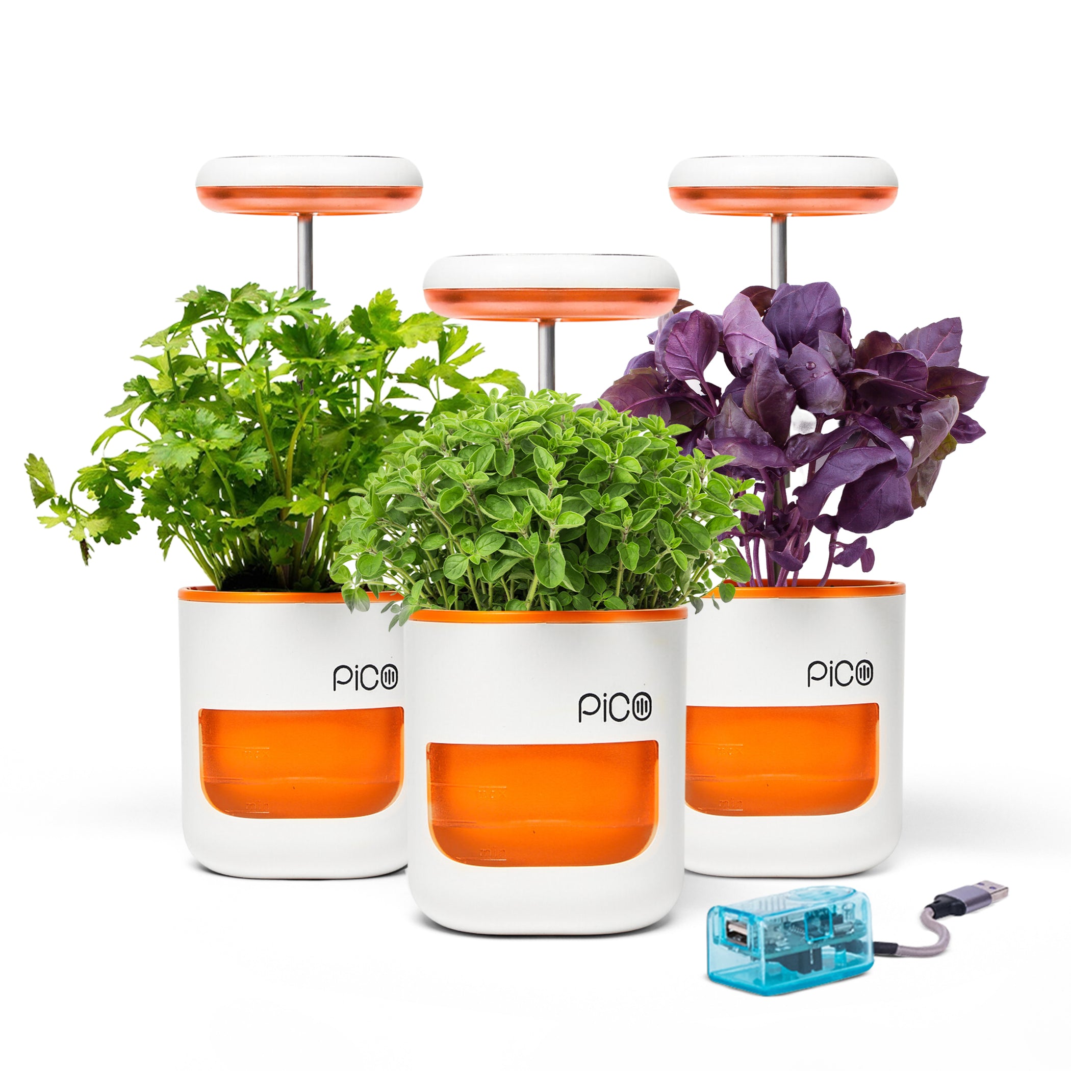 PICO | Indoor Plant Pots, Self-Watering Planters & LED Grow Lights ...