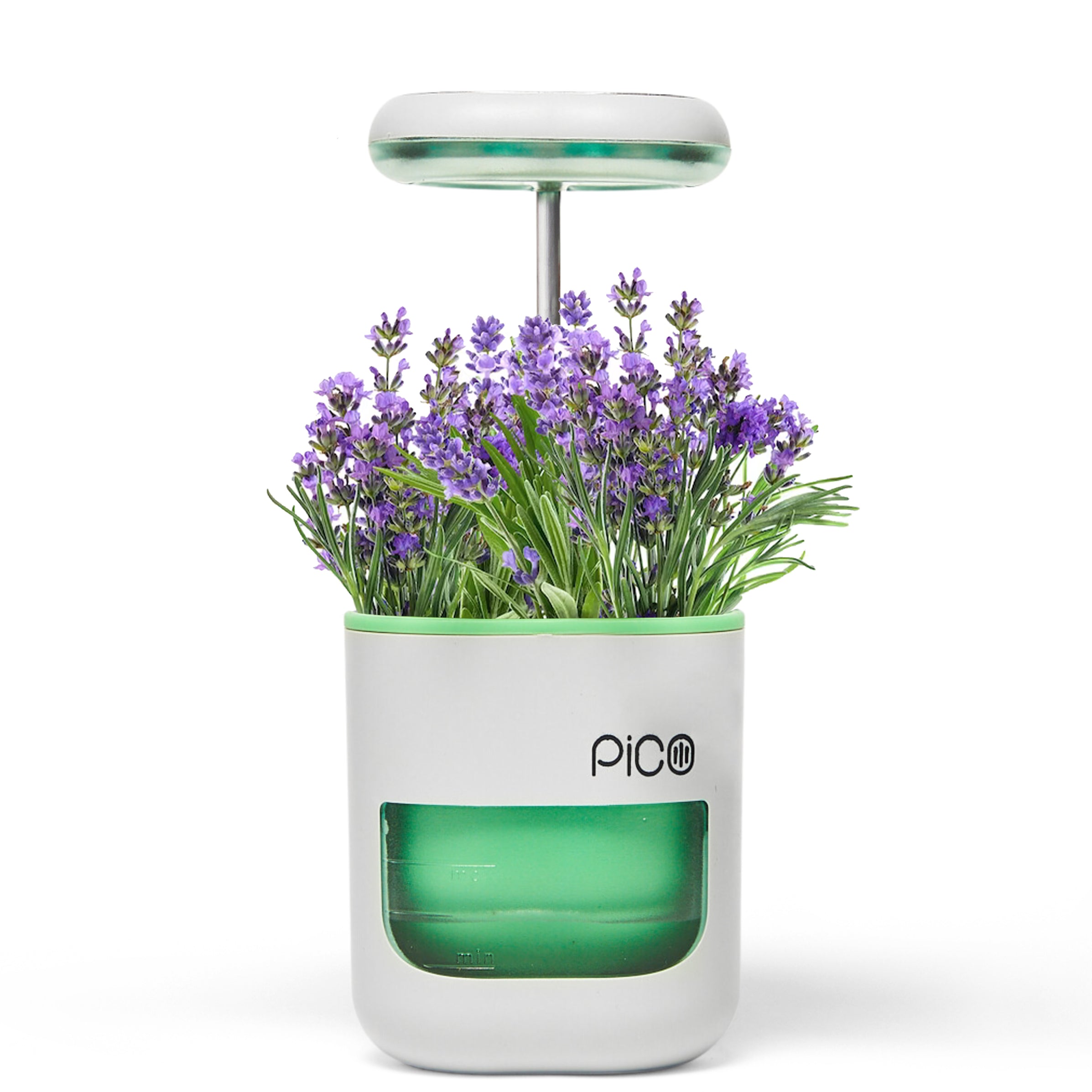 PICO | Indoor Plant Pots, Self-Watering Planters & LED Grow Lights ...