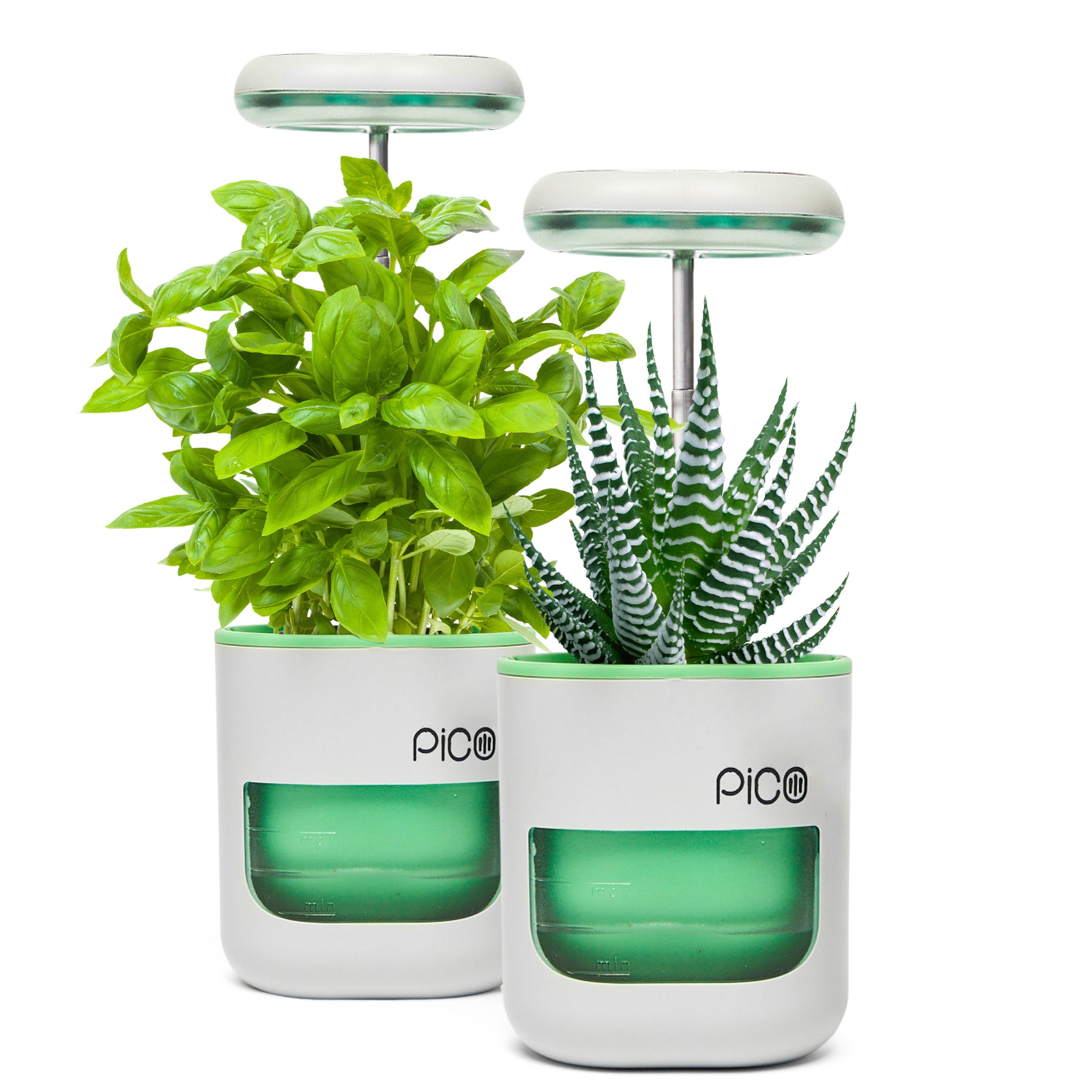 PICO | Indoor Plant Pots, Self-Watering Planters & LED Grow Lights ...