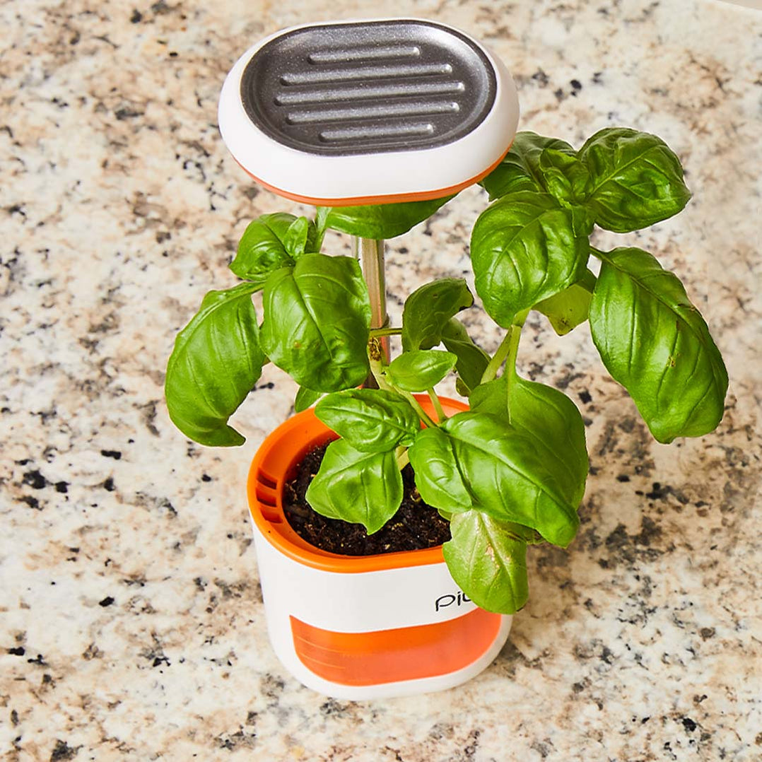 PICO | Indoor Plant Pots, Self-Watering Planters & LED Grow Lights ...