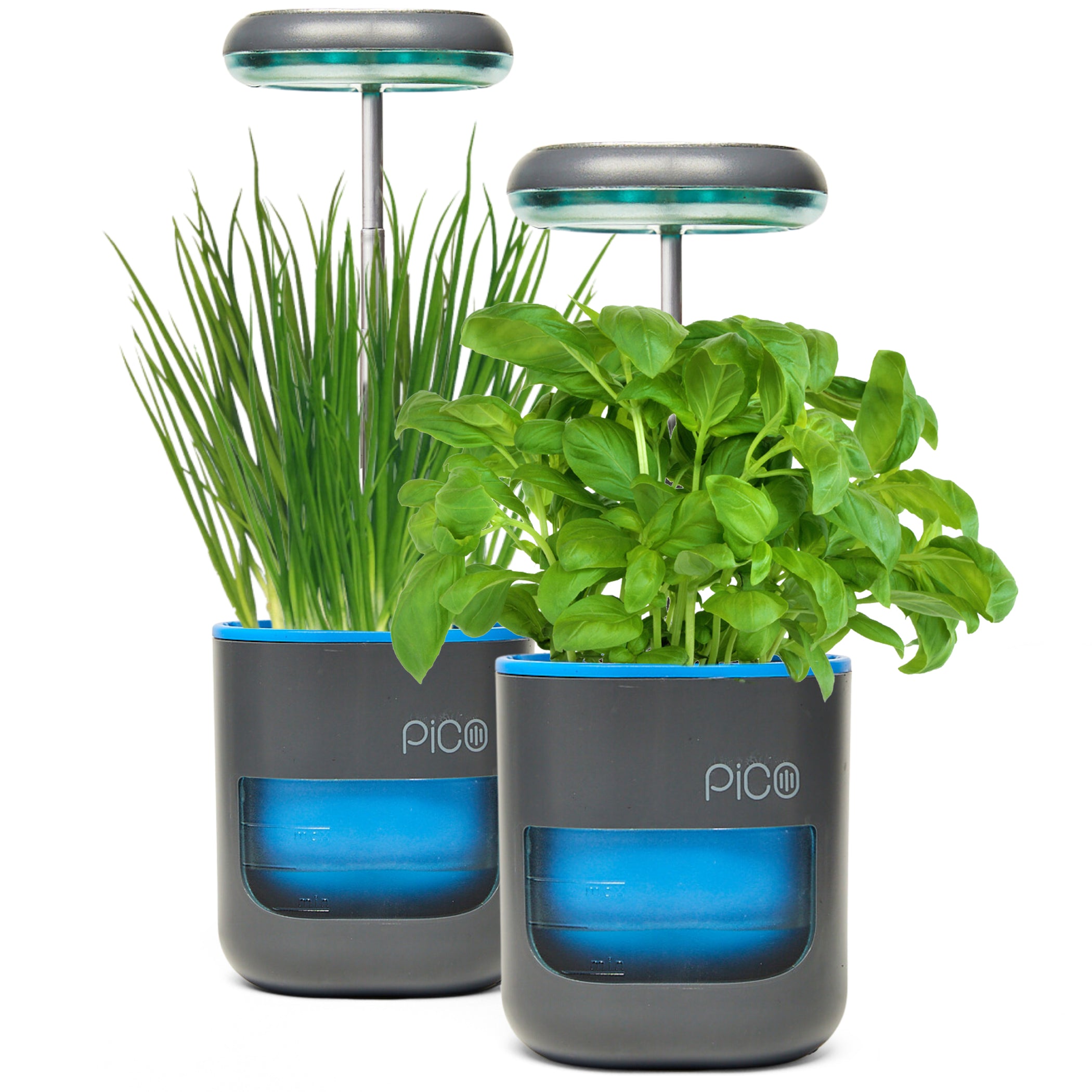 PICO | Indoor Plant Pots, Self-Watering Planters & LED Grow Lights ...